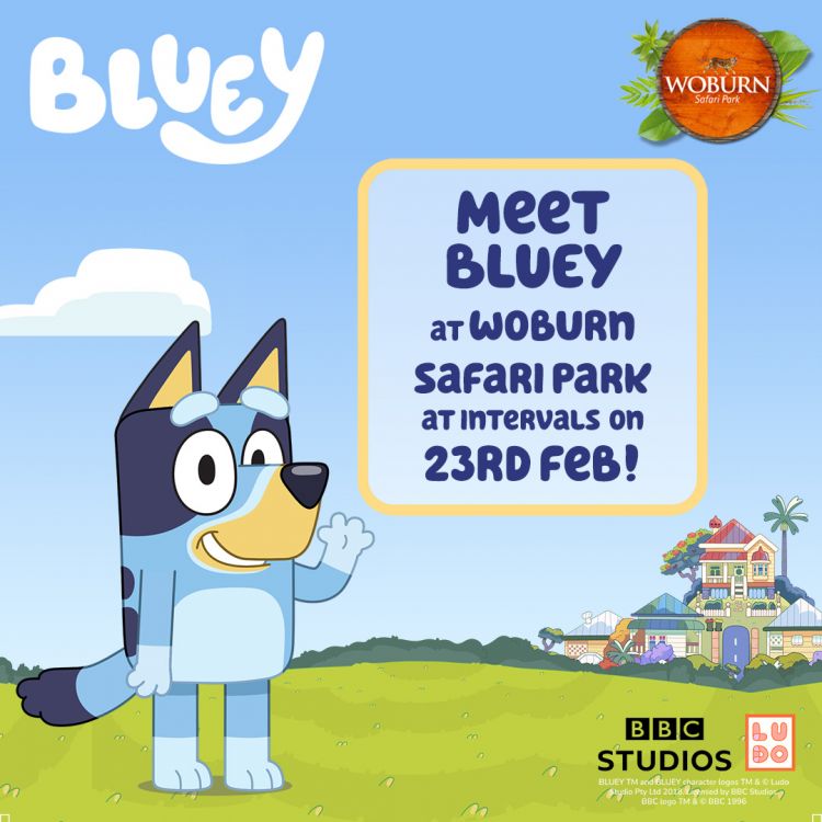 Meet Bluey at Woburn Safari Park on the 23rd February! - 23 Feb 2024 ...