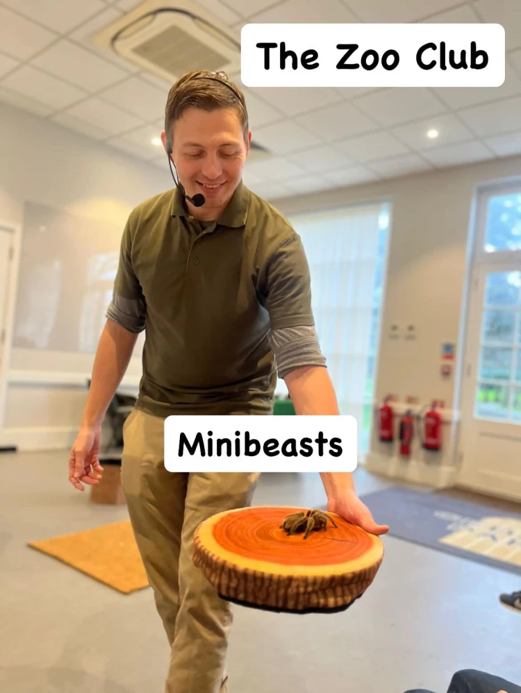 The Zoo Club - Minibeasts - 24 Mar 2024 | Mum's guide to Hertford