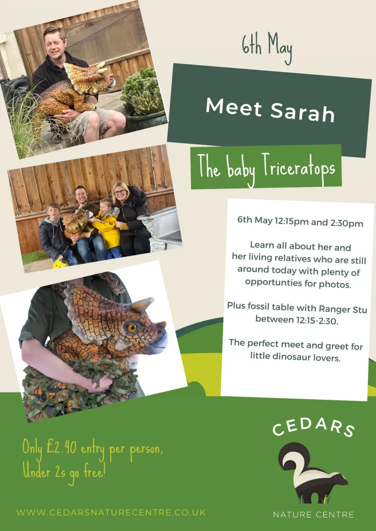 Meet Sarah the Triceratops at Cedars Nature Centre - 6 May 2024 | Mum's ...